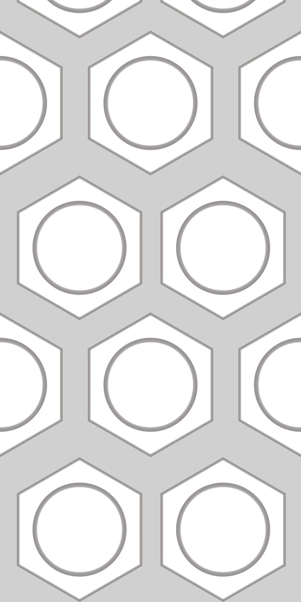 Hexagonal Discs Acrylic Wall Panels Home Decor Wall Panels 2440mmm x 1 ...